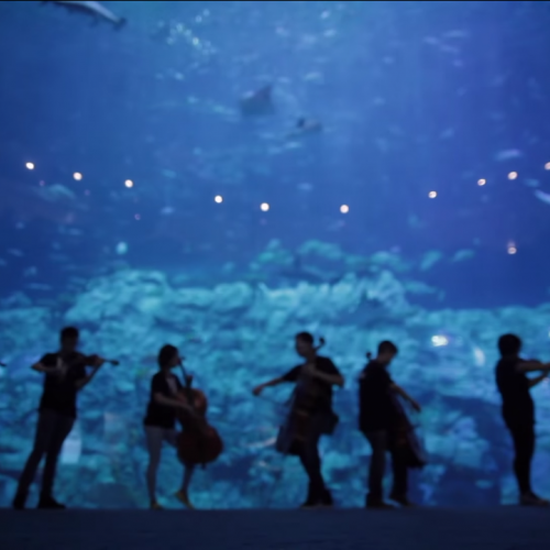 Hong-Kong-Festival-Orchestra-HKFO